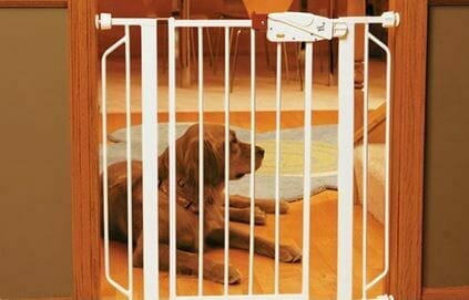 Regalo Easy Step Gate | Bubs n Grubs