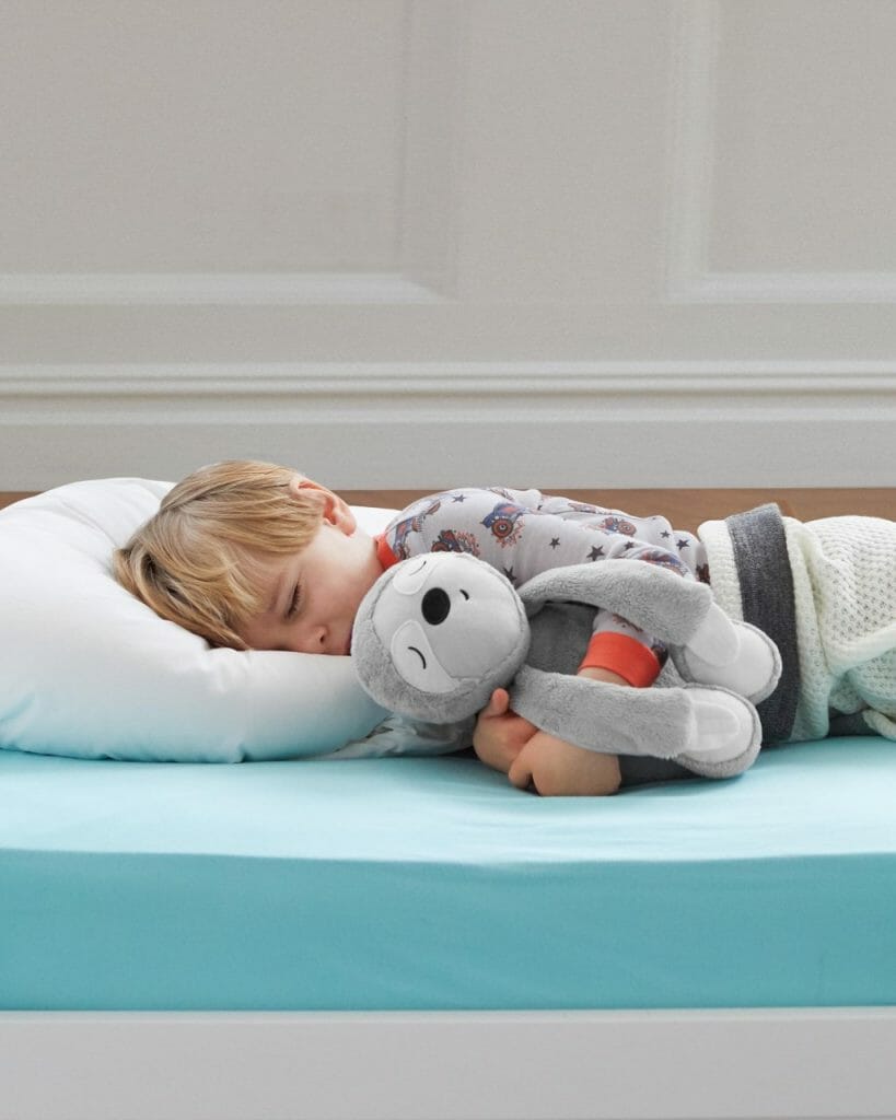 Skip Hop Cry-Activated Soother - Sloth | Bubs n Grubs